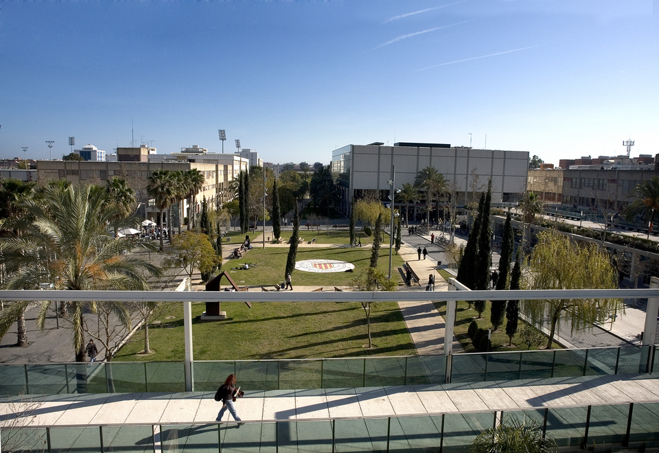 Formación del equipo de trabajo de EZ-ZAAX - ZAAX SPORTS AGENCY